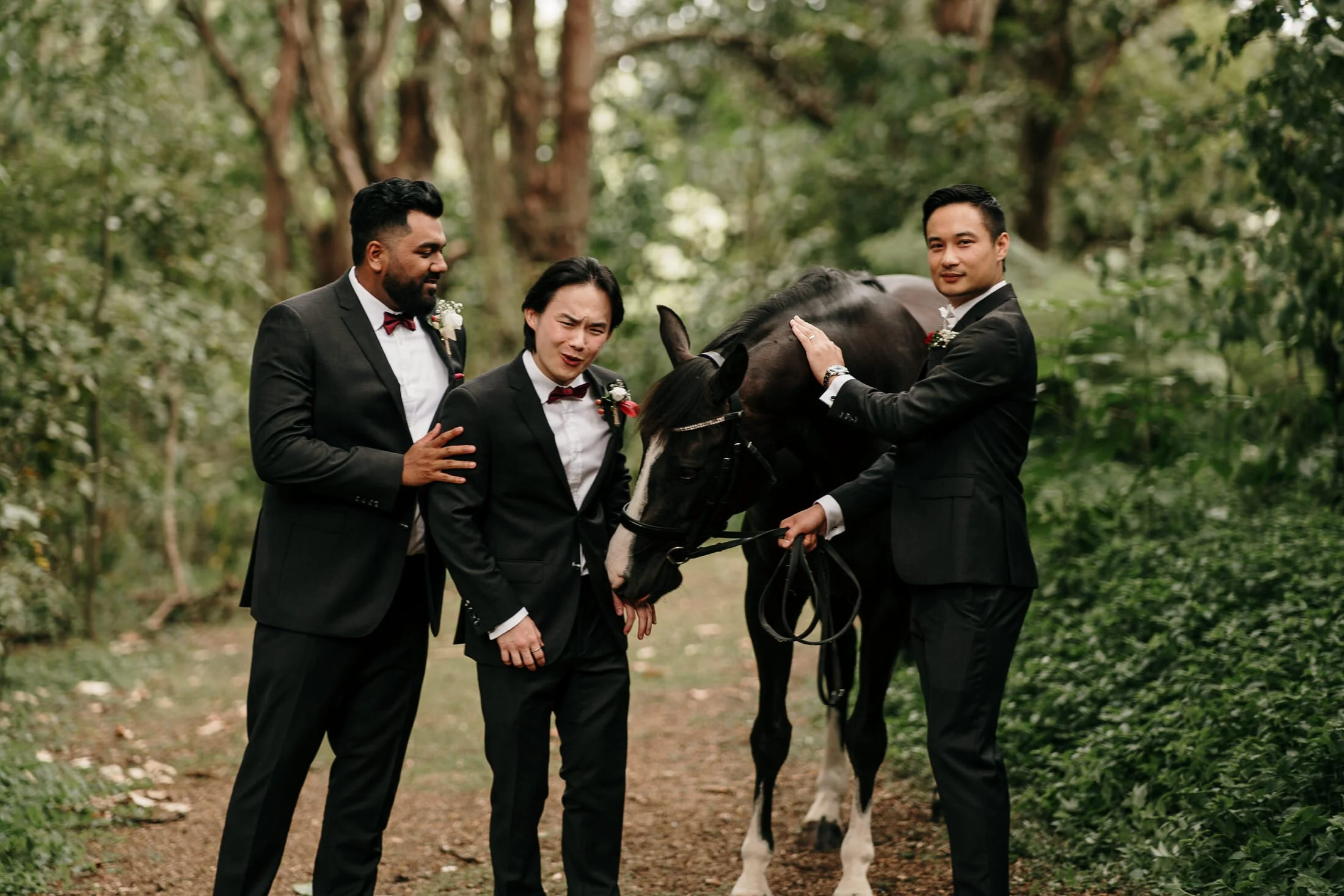 Saila & Hao | Hedges Estate Wedding Venue | Auckland Wedding ...