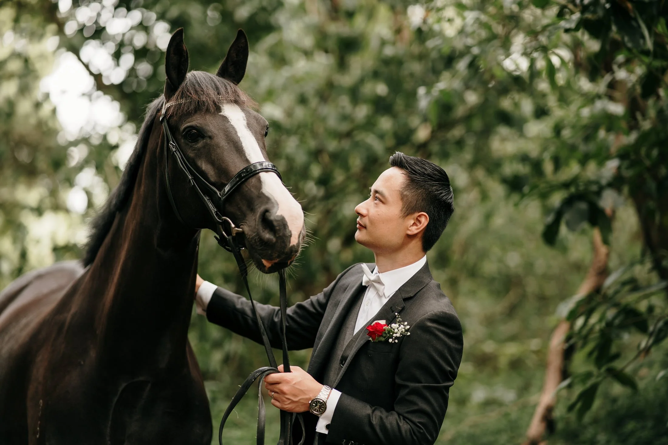 Saila & Hao | Hedges Estate Wedding Venue | Auckland Wedding ...