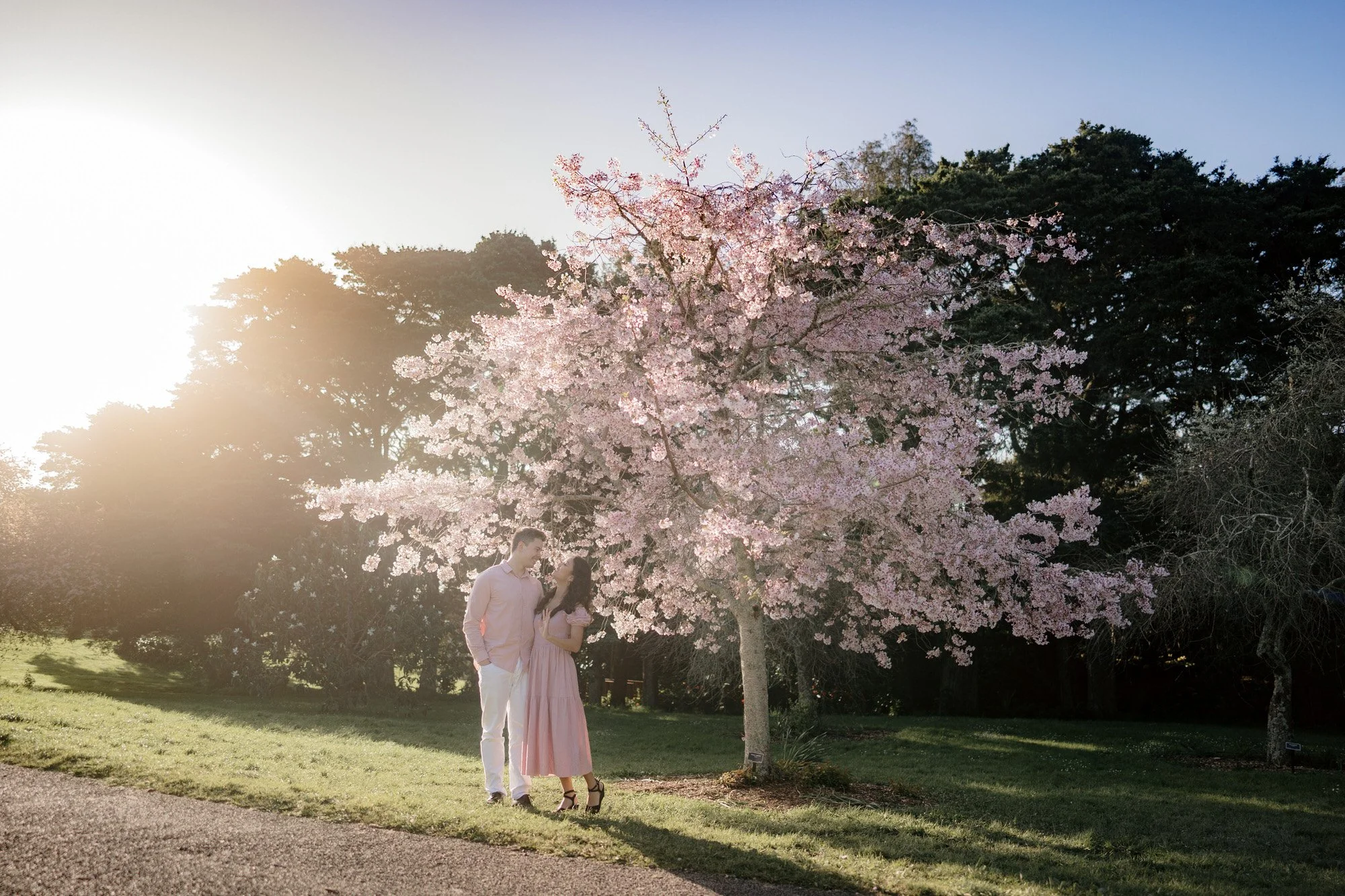 Nate & Thea | Cherry Blossom at Botanic Gardens | Auckland Wedding ...