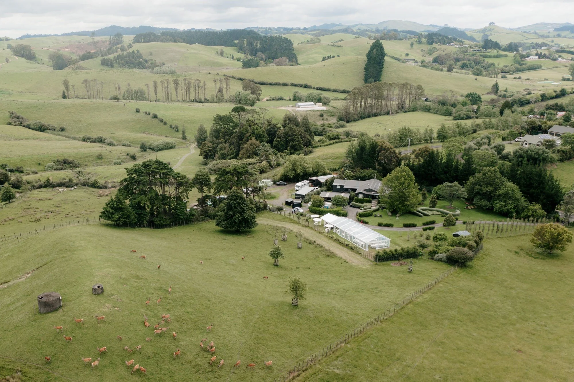 Deer Valley NZ | A beautiful, intimate outdoor Auckland wedding venue ...