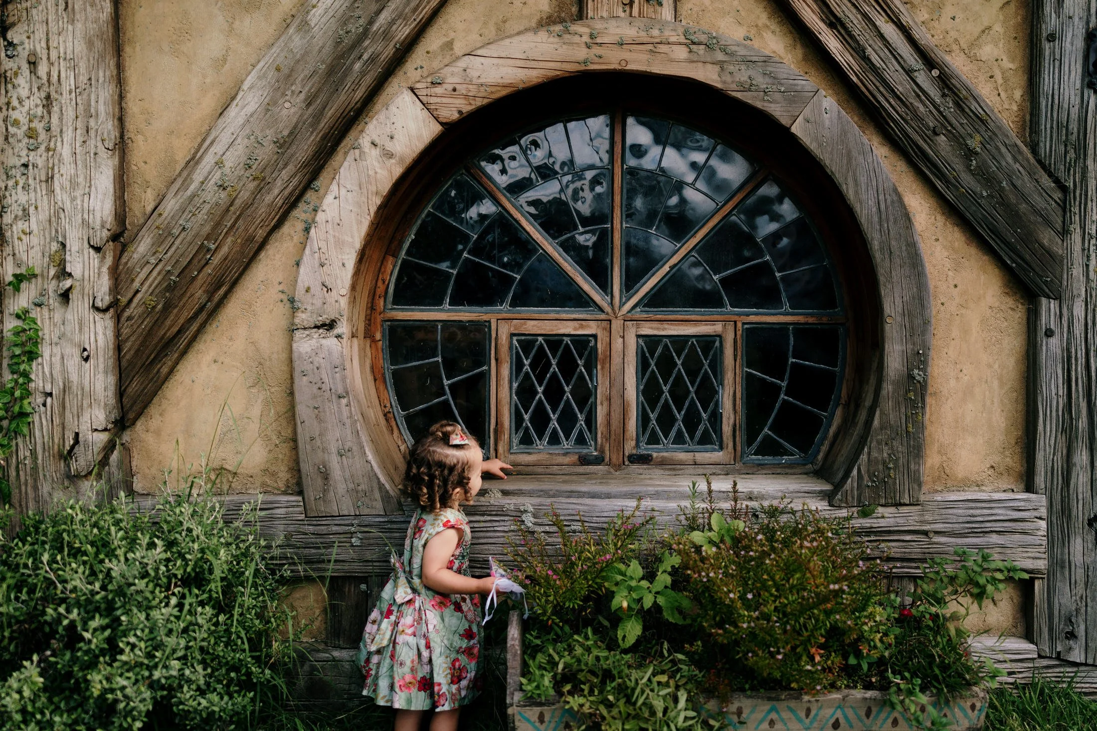 The Ultimate Guide to Getting Married at Hobbiton Movie Set — Dear ...