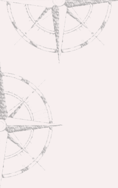 Abyss / Rapier - PvP Build S8 — PvP New World