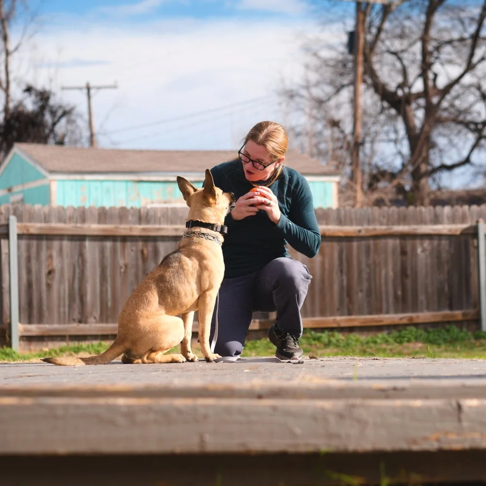 Trusty Dog Training Tulsa | Your Local Tulsa Dog Trainer
