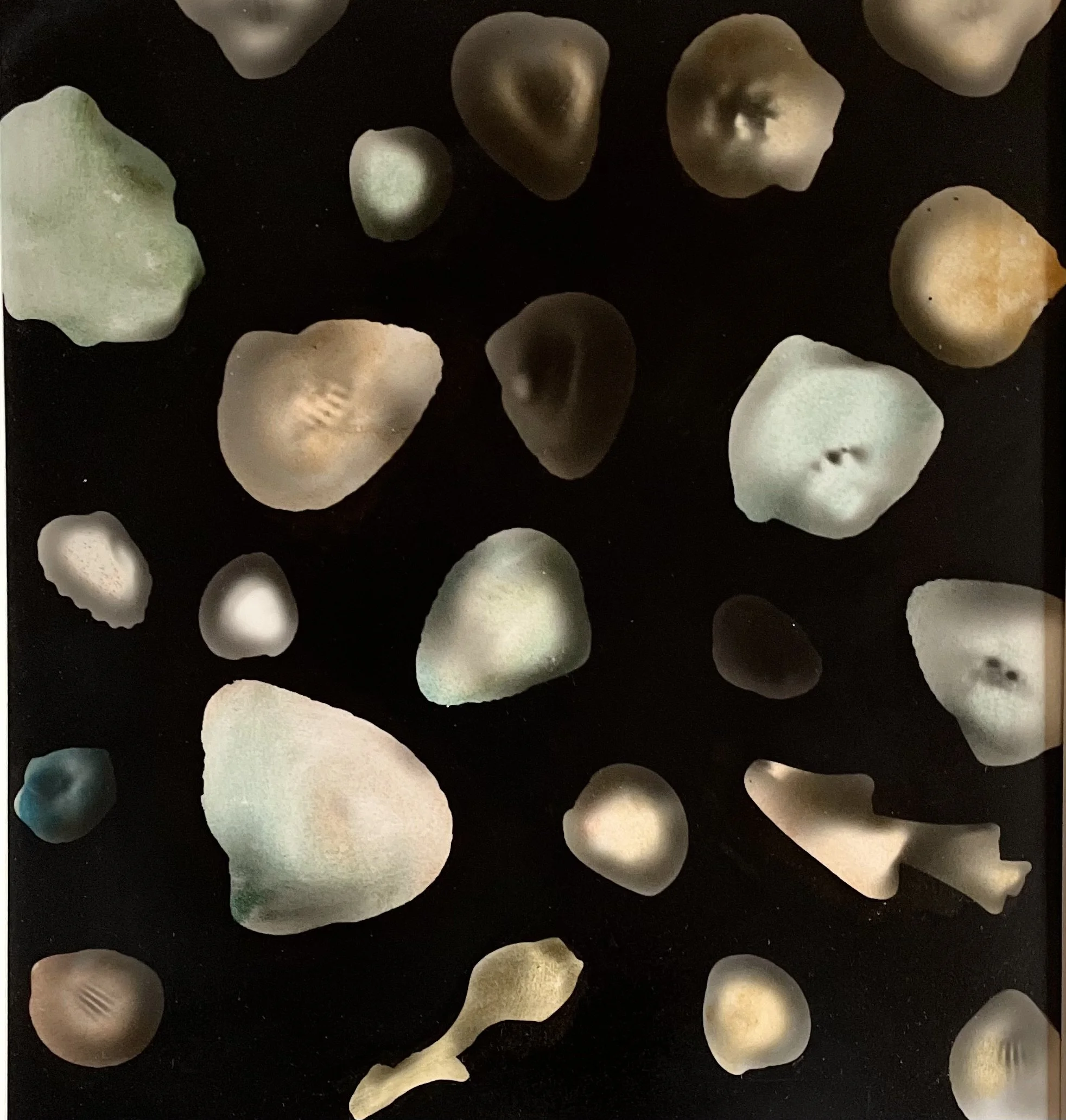 Photograms — Melissa Wanamaker