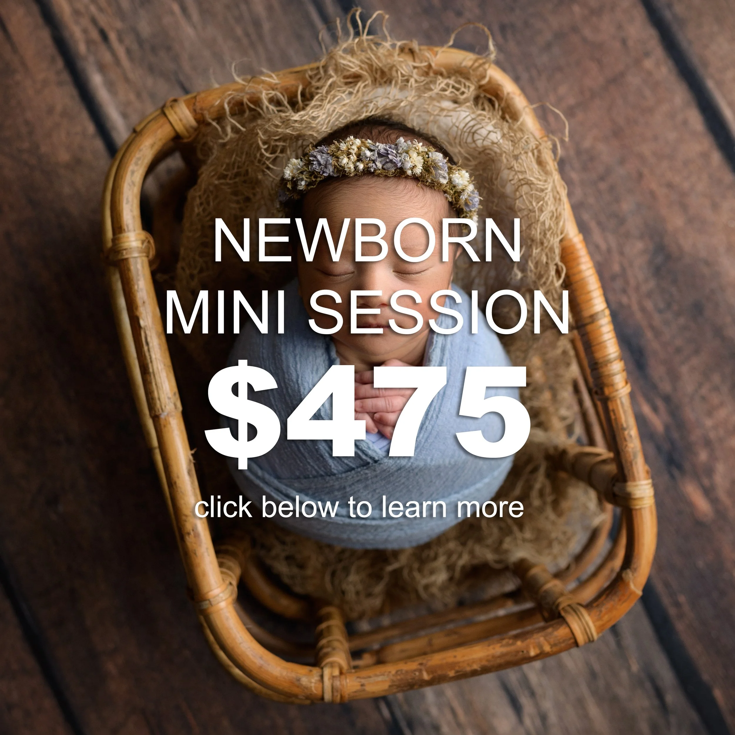 Newborn Photographer - Parker CO