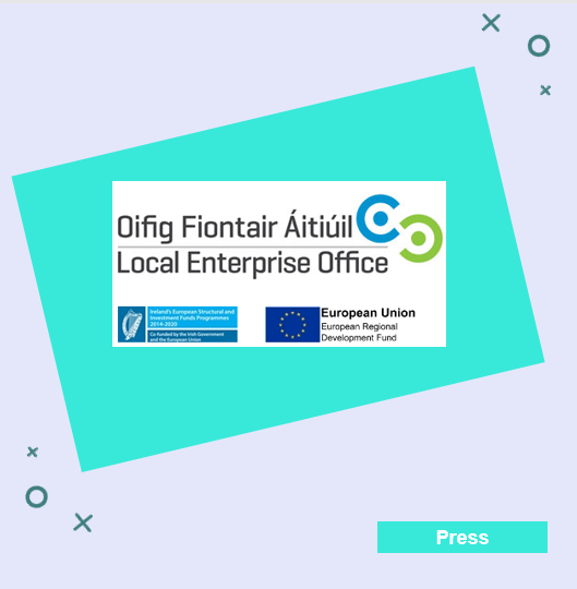 Wicklow Local Enterprise Case Study — Showtime Analytics