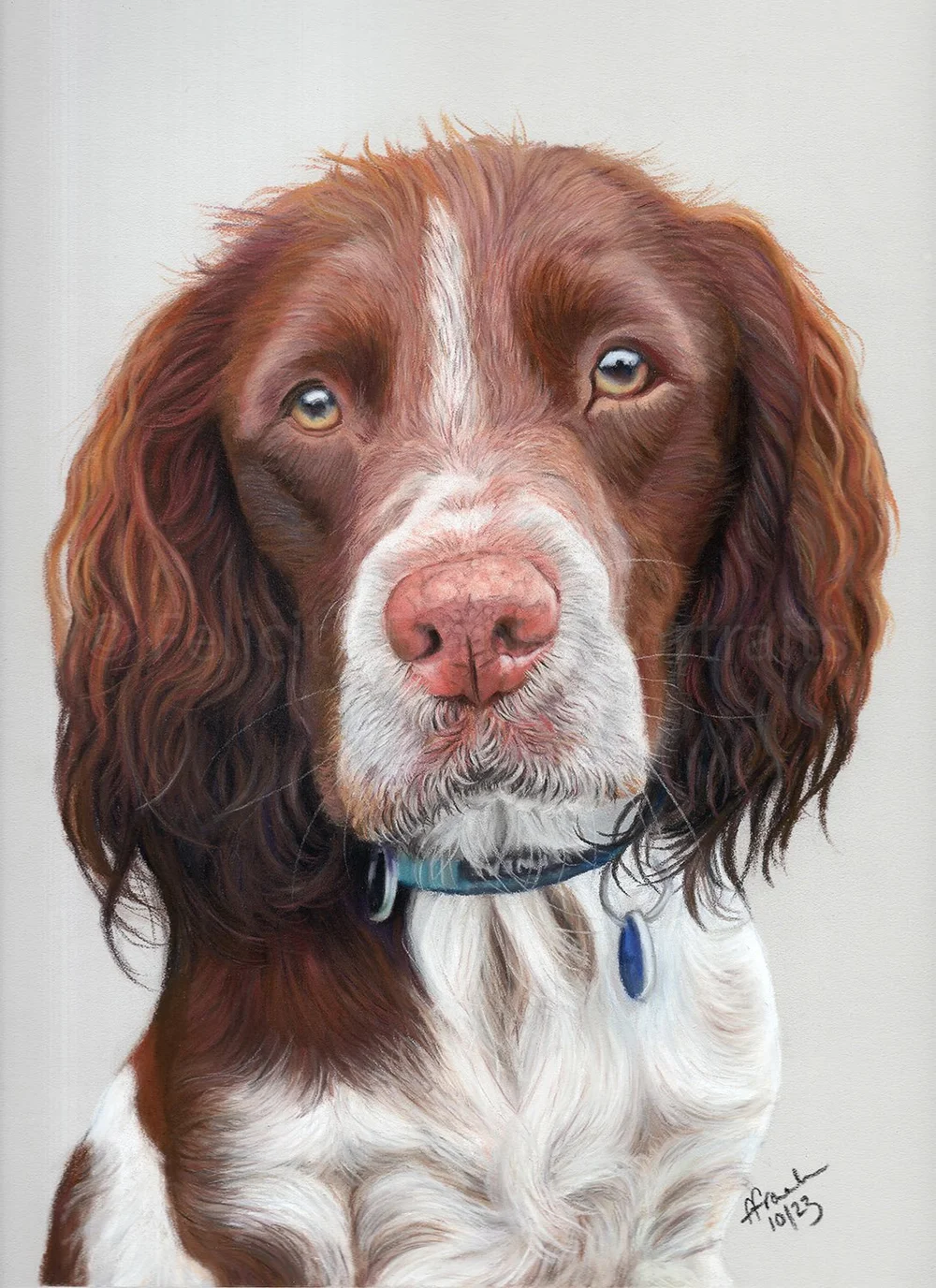 Dog Pet Portraits — Welcome to Felicity Franks Portraits