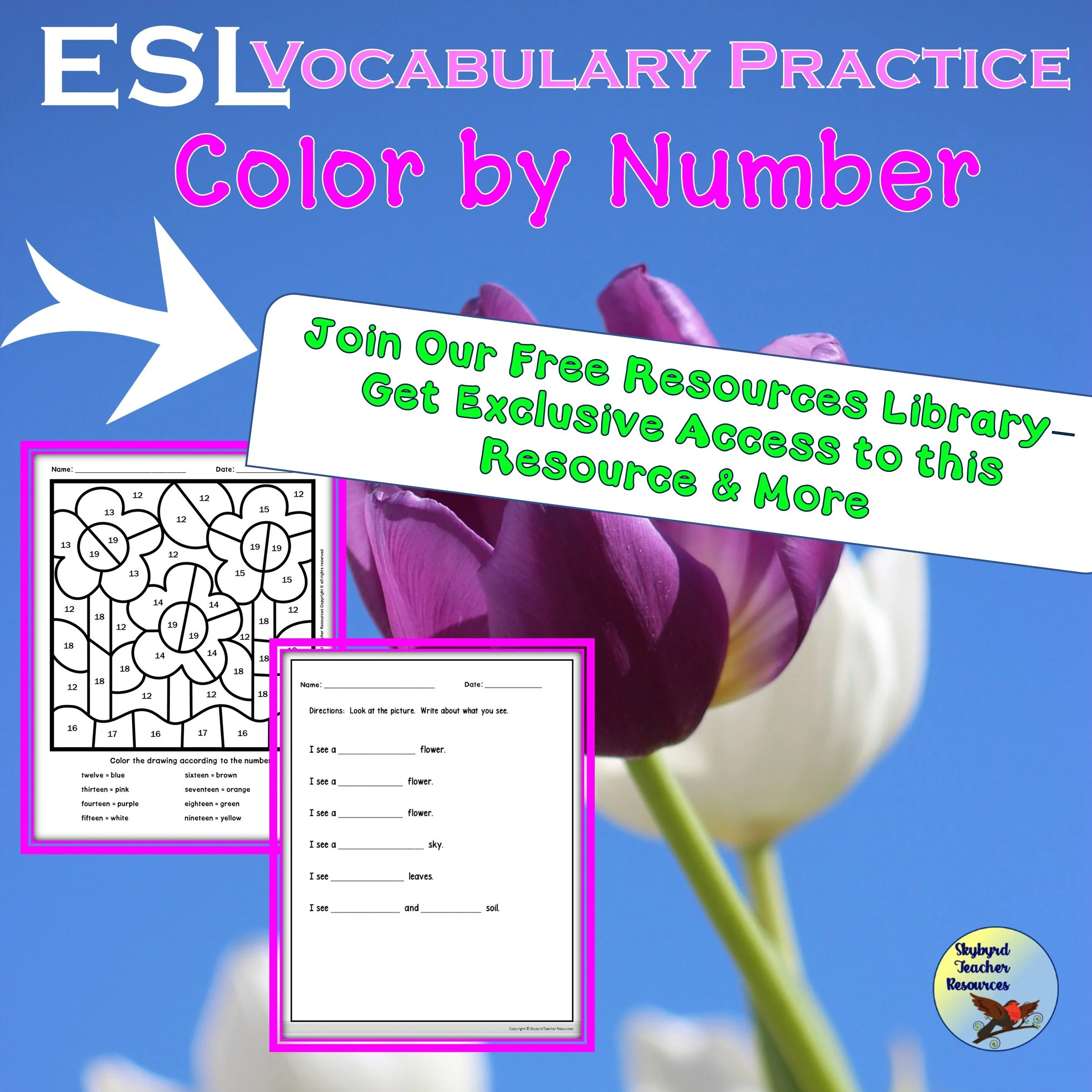 ESL Activities, Teaching ESL, ESL Teaching Ideas, ESL Newcomers, ESL ...