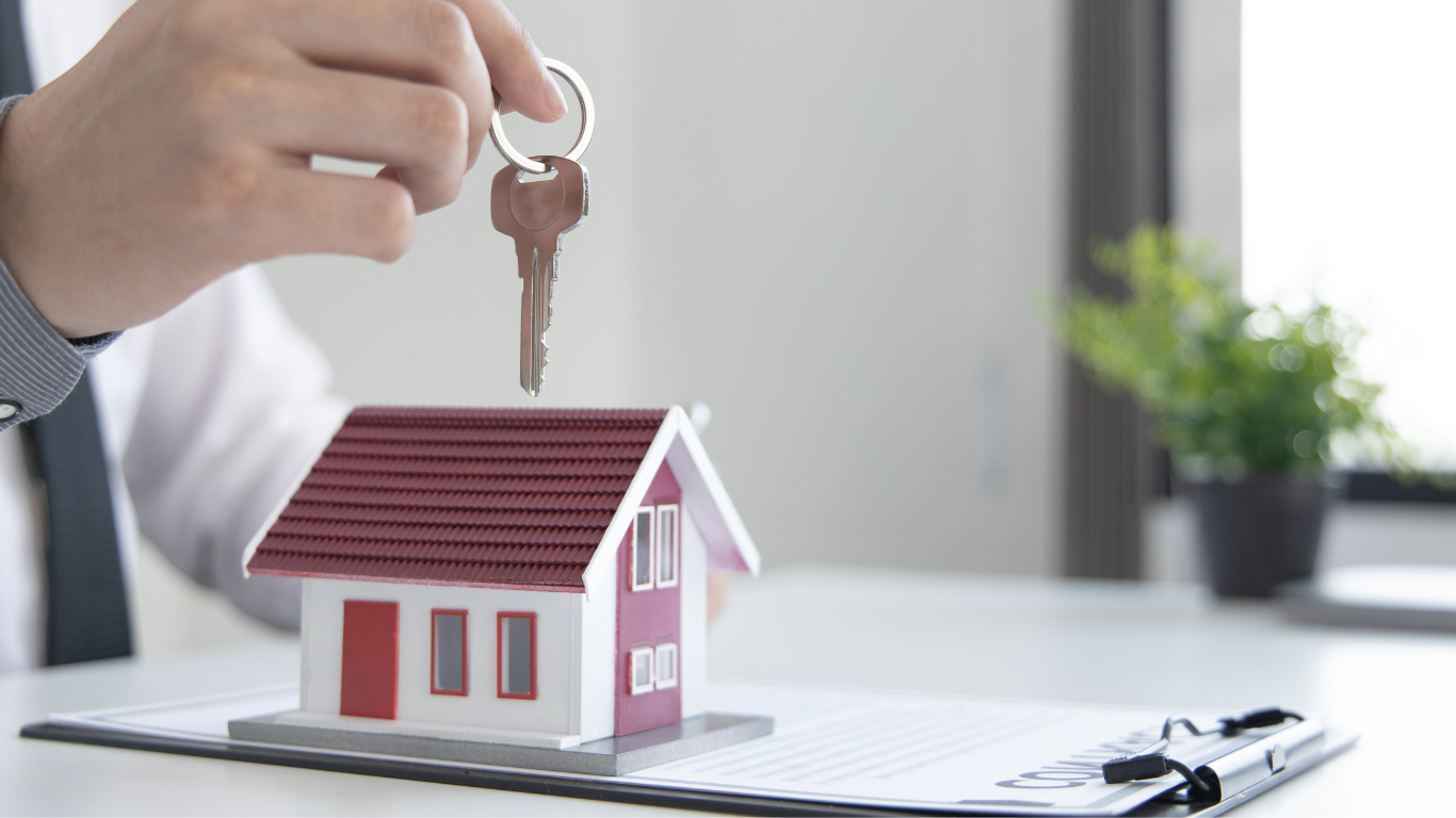New Zealand Tenancy Law Changes 2025: What Landlords & Tenants Need to ...