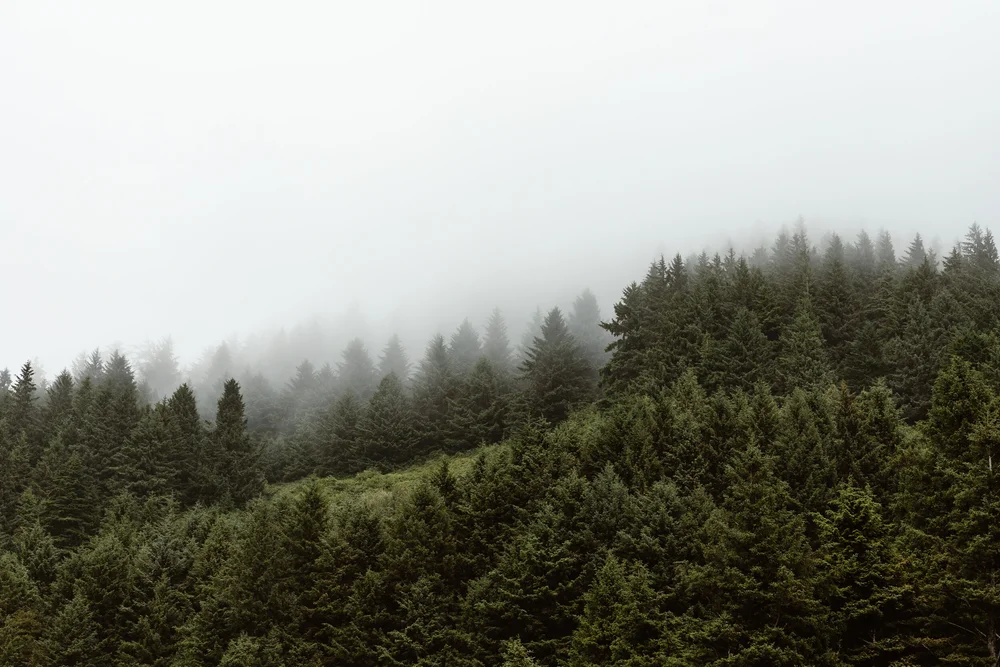 Epic Cliff-side Oregon Coast Elopement - Adventure Elopement Photographer