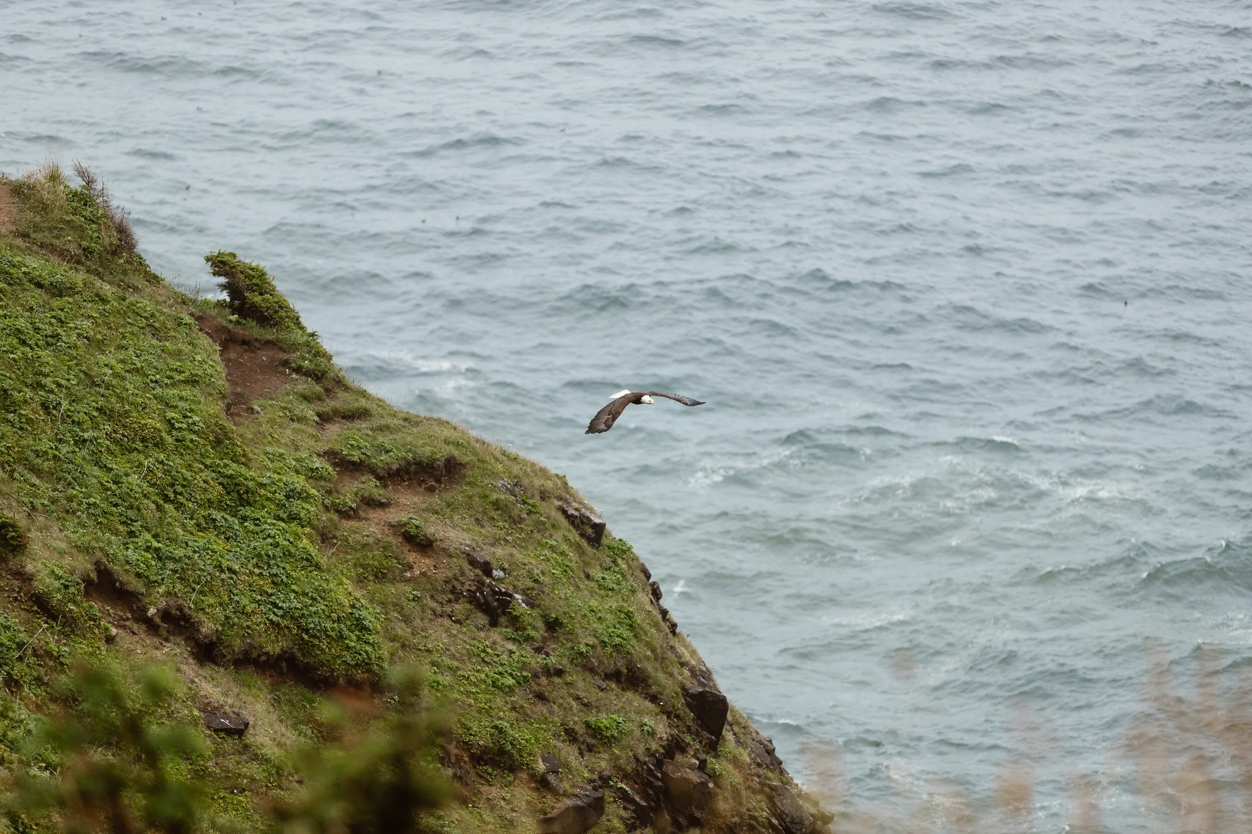 Epic Cliff-side Oregon Coast Elopement - Adventure Elopement Photographer