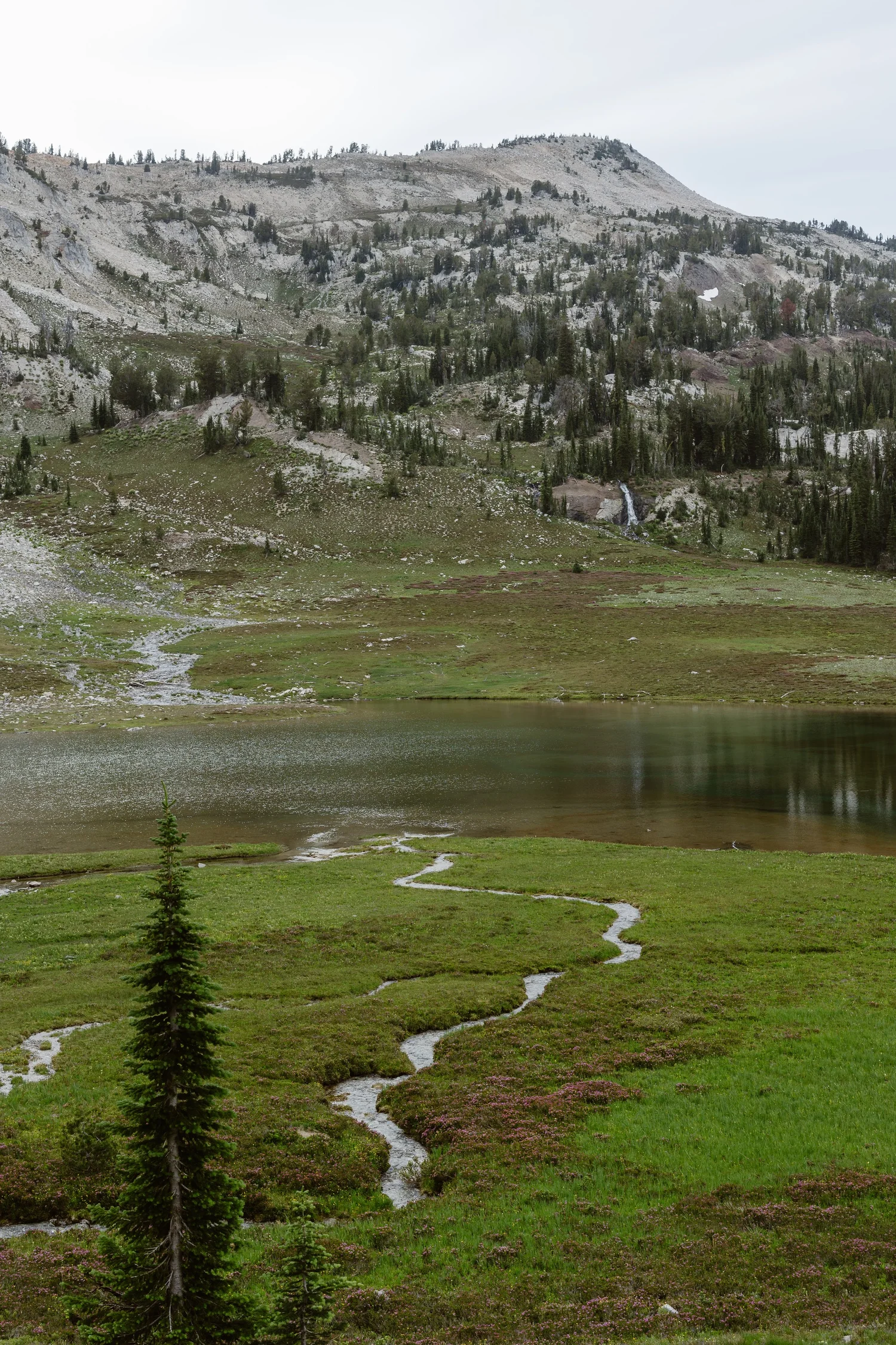 Eagle Cap Wilderness Backpacking Elopement - Adventure Elopement ...