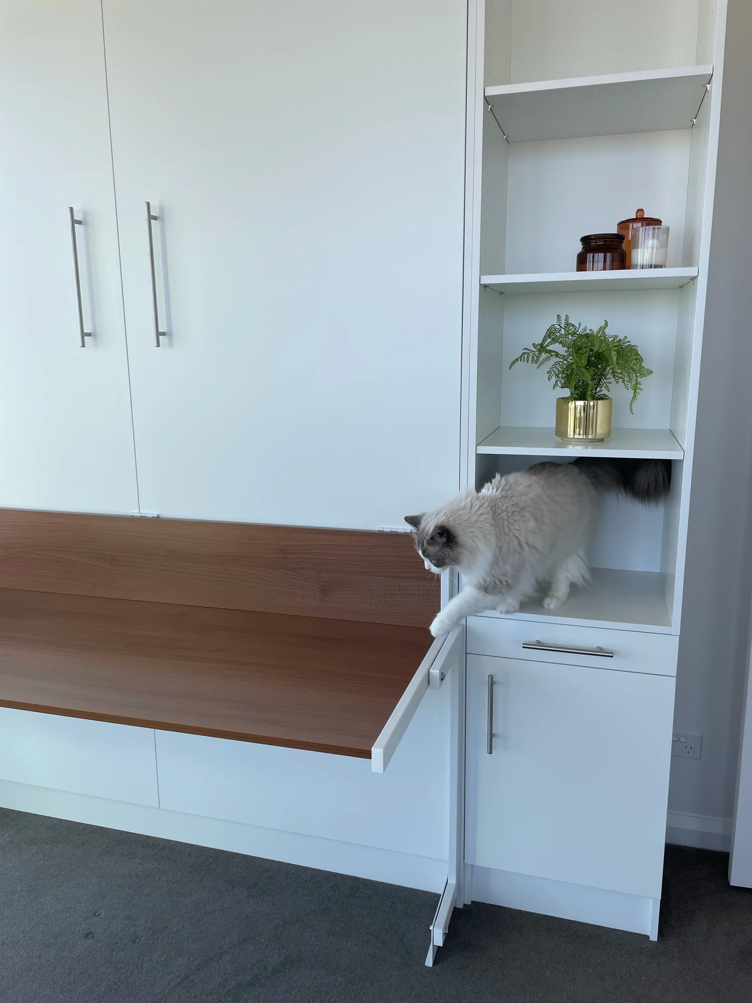 Alpha bed - more info — The Wallbed Company