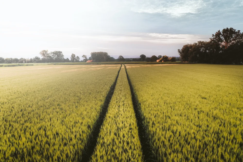 Standard & Methodology | High-Quality Standards for Carbon Farming ...