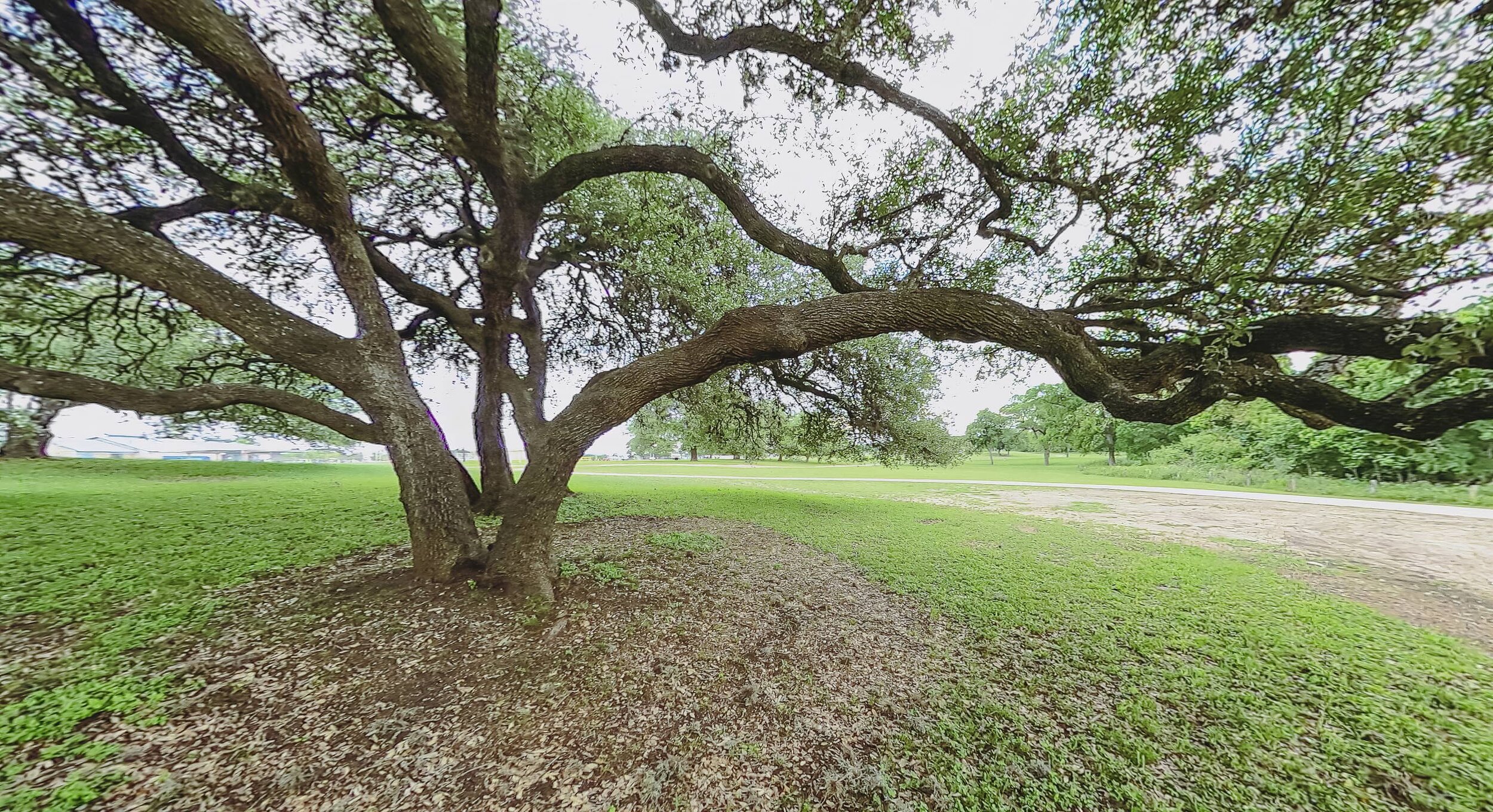 City Park — Film Boerne