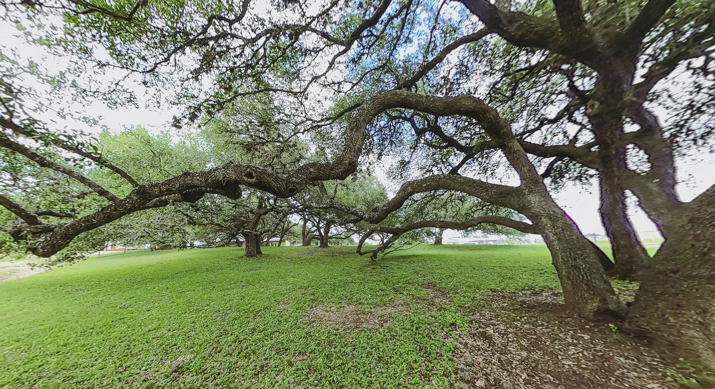 City Park — Film Boerne