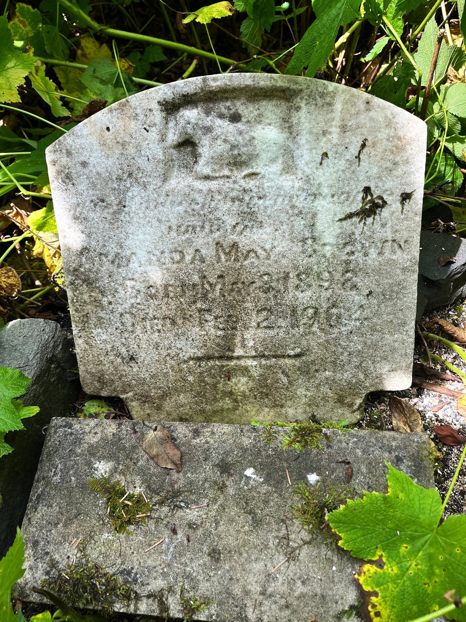 Paying Respects at the Choquette Family Cemetery — Wrangell History ...