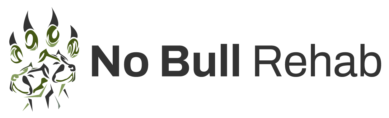 No Bull Logo MEN'S NOBULL PERFORMANCE HAT – Nobullproject1.com