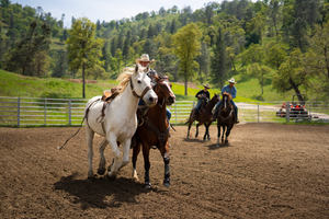 RODEO EVENTS — Veater Ranch
