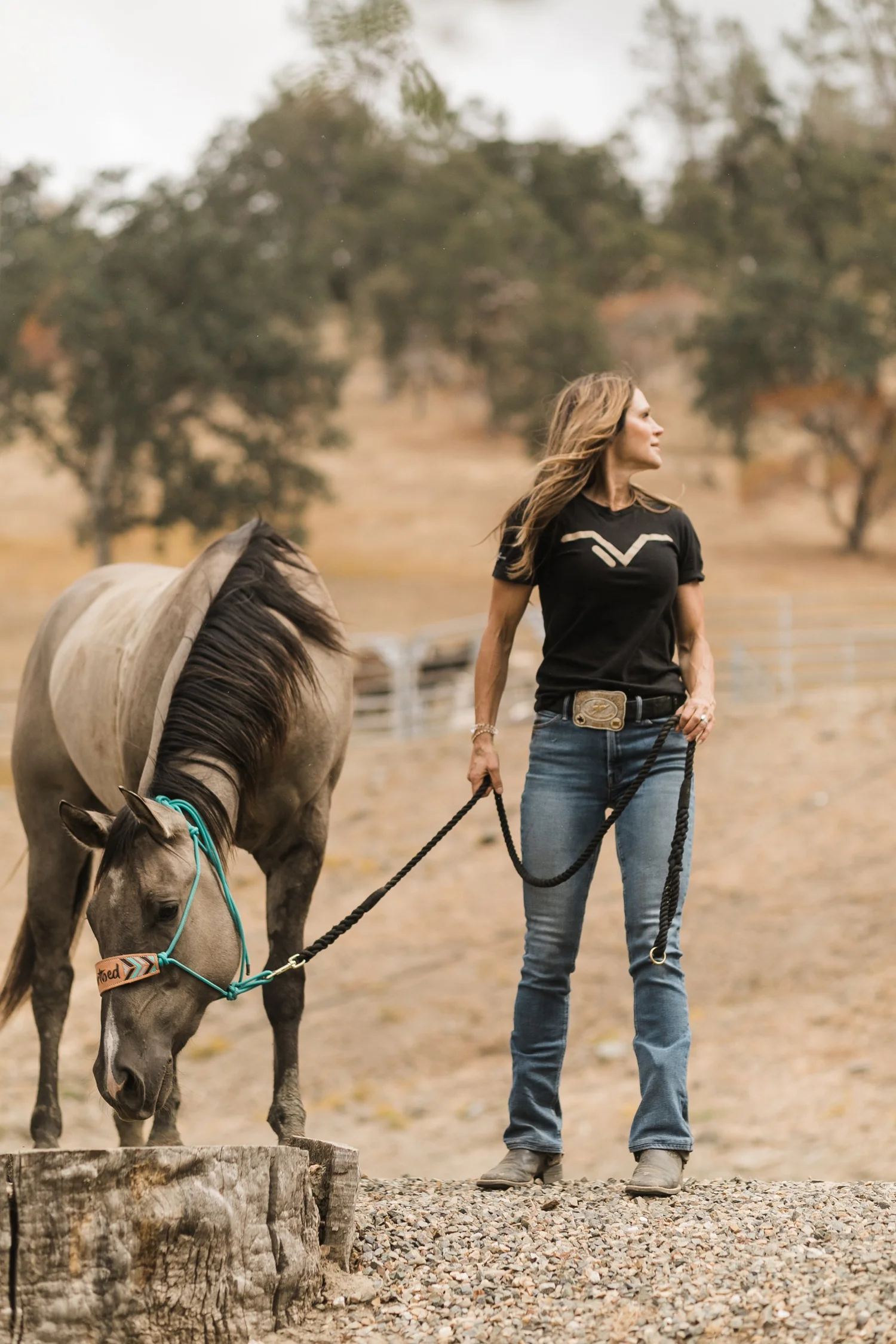 ABOUT US — Veater Ranch