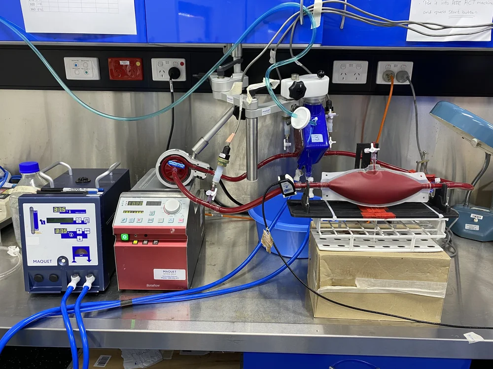 Innovative Cardiovascular Engineering and Technology Laboratory ...