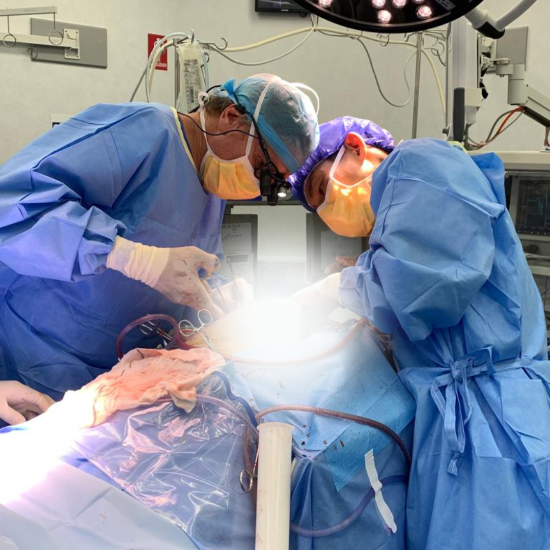 From a busy ED to running surgical procedures in preclinical ...