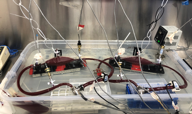 Innovative Cardiovascular Engineering and Technology Laboratory ...