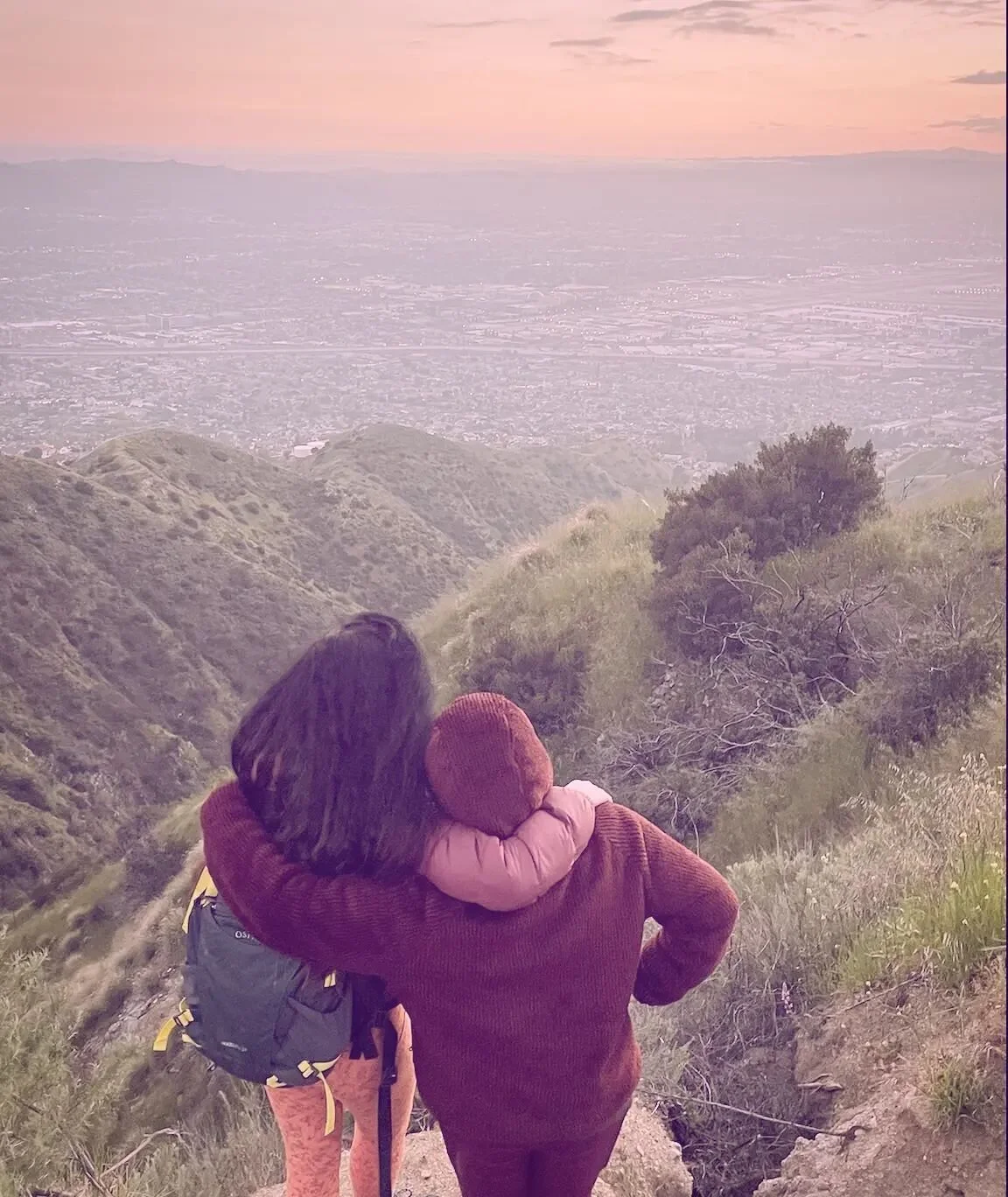 The MLS Writer + NEST IMPRESSIONS | Real Estate Copywriter and Email ...