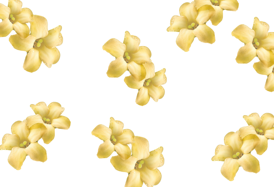 The Communification Podcast — MalikaDudley.com