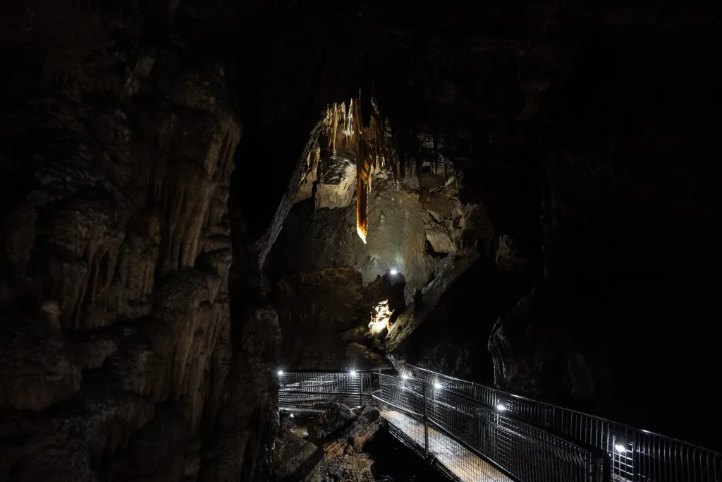 Gunns Plains Caves: a Story of Community Resilience — Spirited Devonport