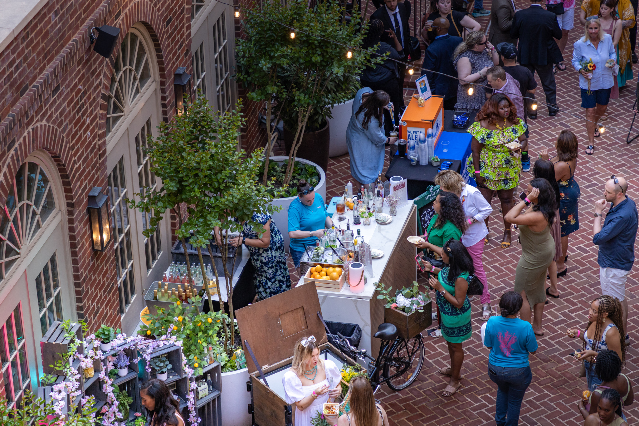 Summer Soirée Under the Stars — DC Social Collective