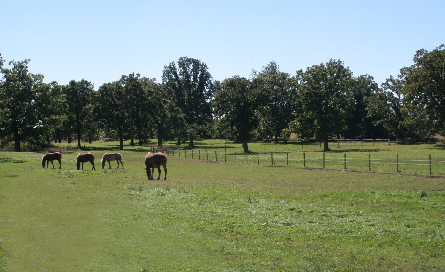 Buck Creek Stable LLC