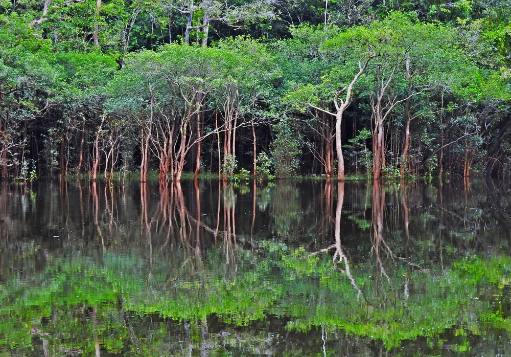 The Top 10 Colombian National Parks for Filming Natural History ...