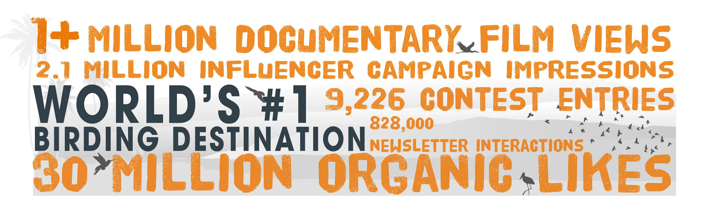 How Our Communications Agency Created The Birders Campaign for Colombia ...