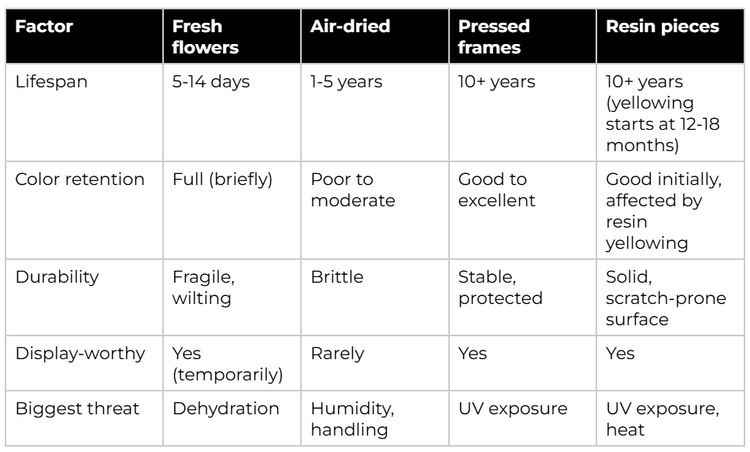 How long do flowers really last? Fresh vs. preserved comparison — Bloom ...