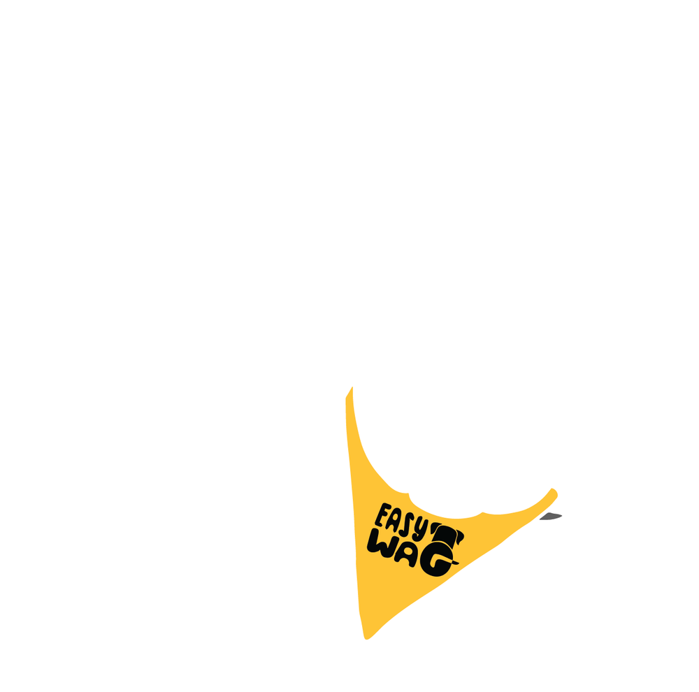 Services — Easy Wag