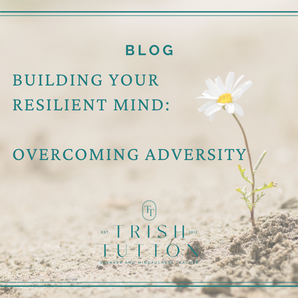 Building Your Resilient Mind: Mindfulness for Overcoming Adversity ...