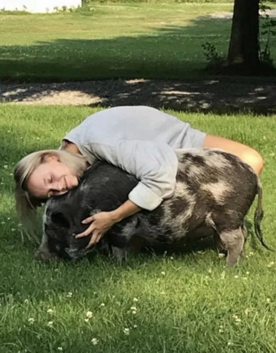Visit Us — Sweet Acres Pig Sanctuary