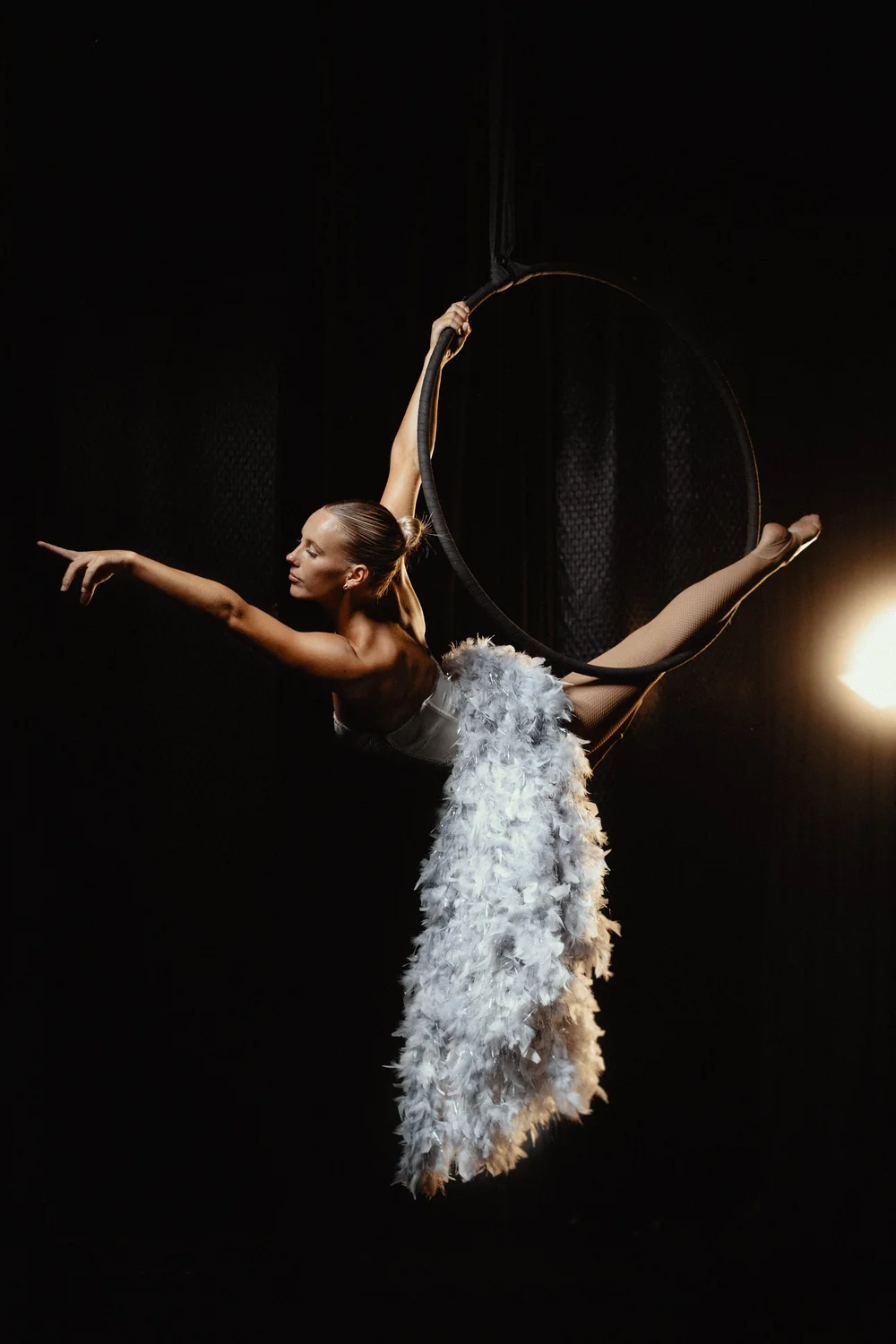 Aerial performers — Three Rings Aerial & Circus Arts