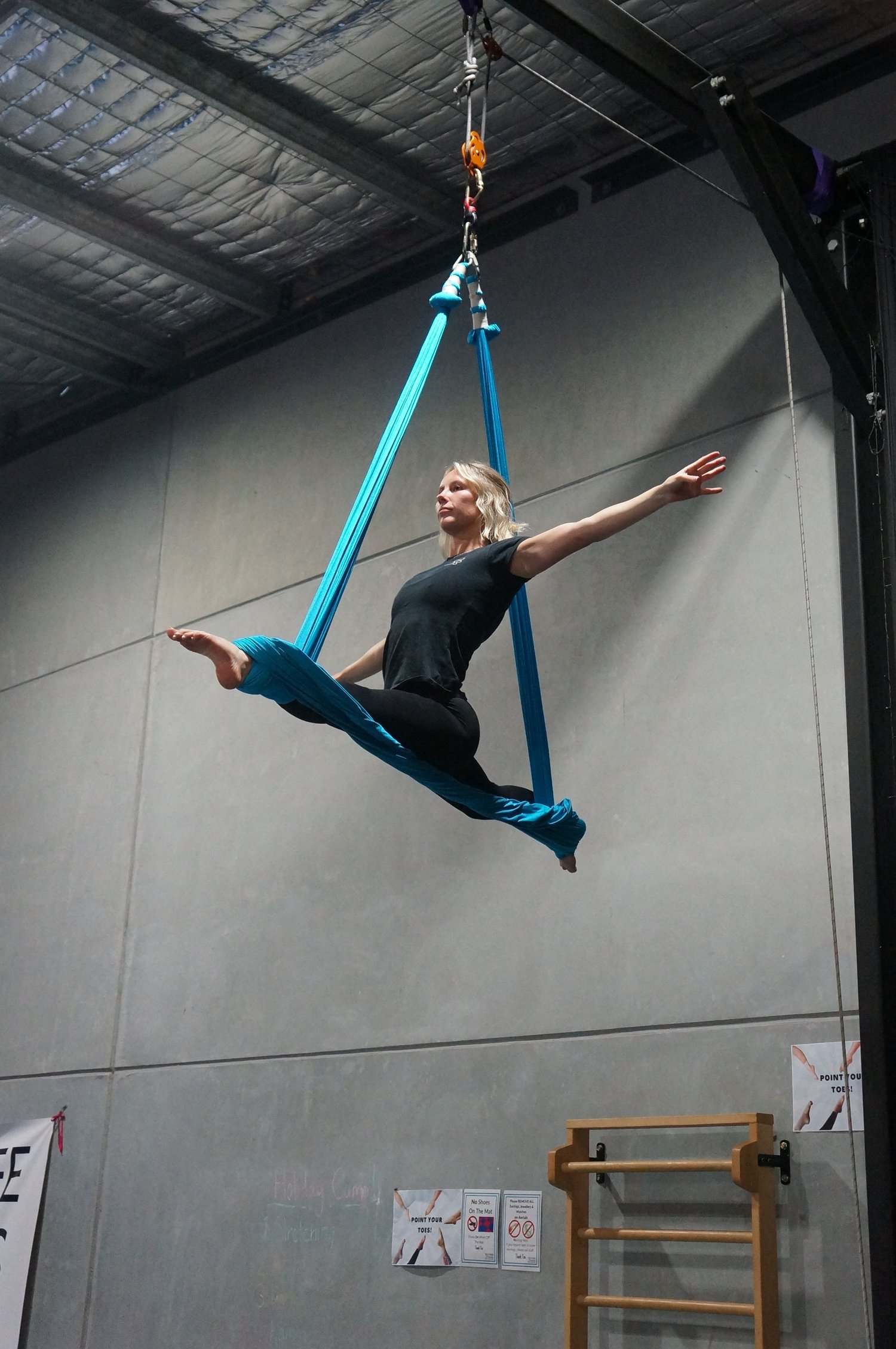 Three Rings Aerial & Circus Arts
