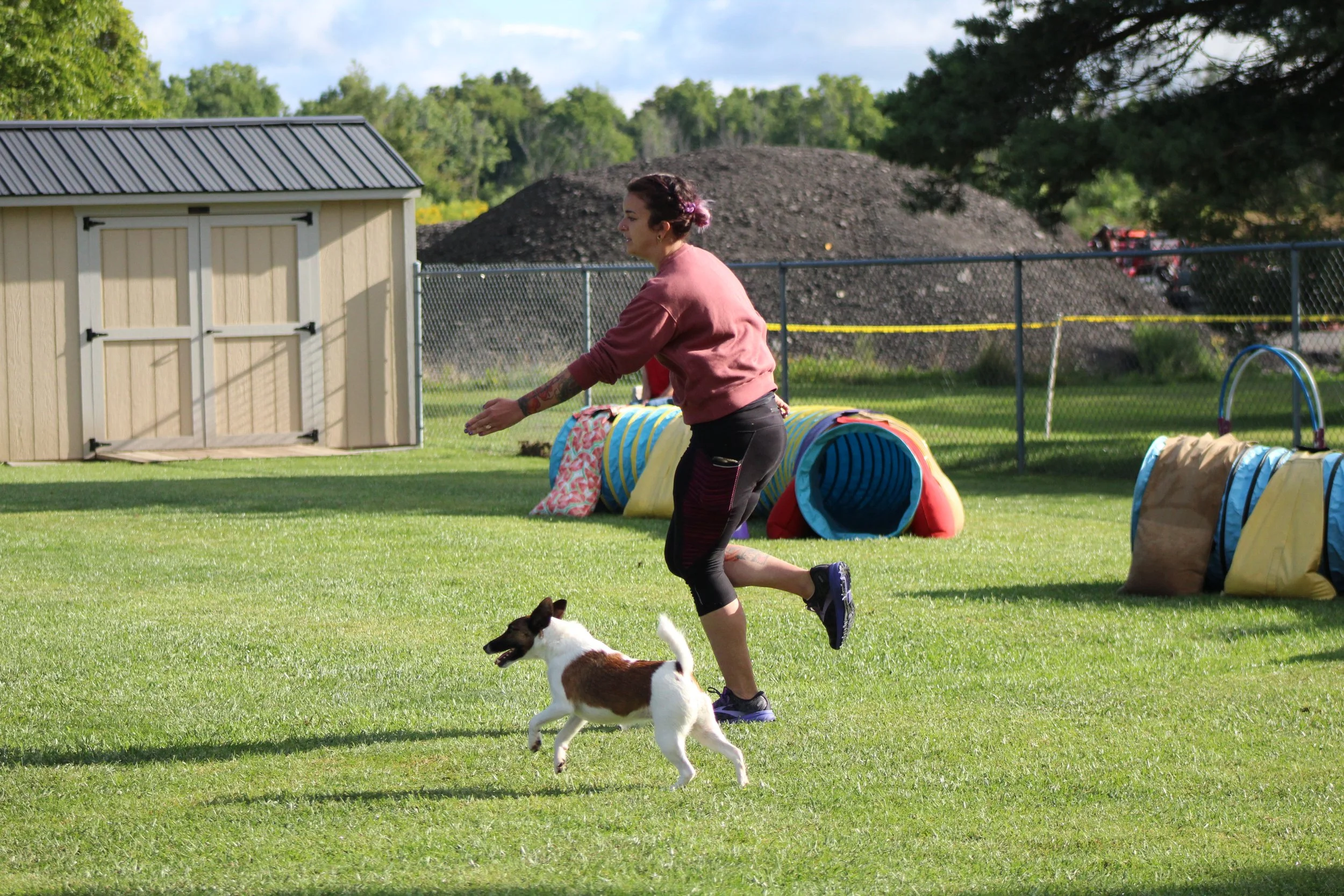 Meet Our Students — SUPERNOVA DOGS