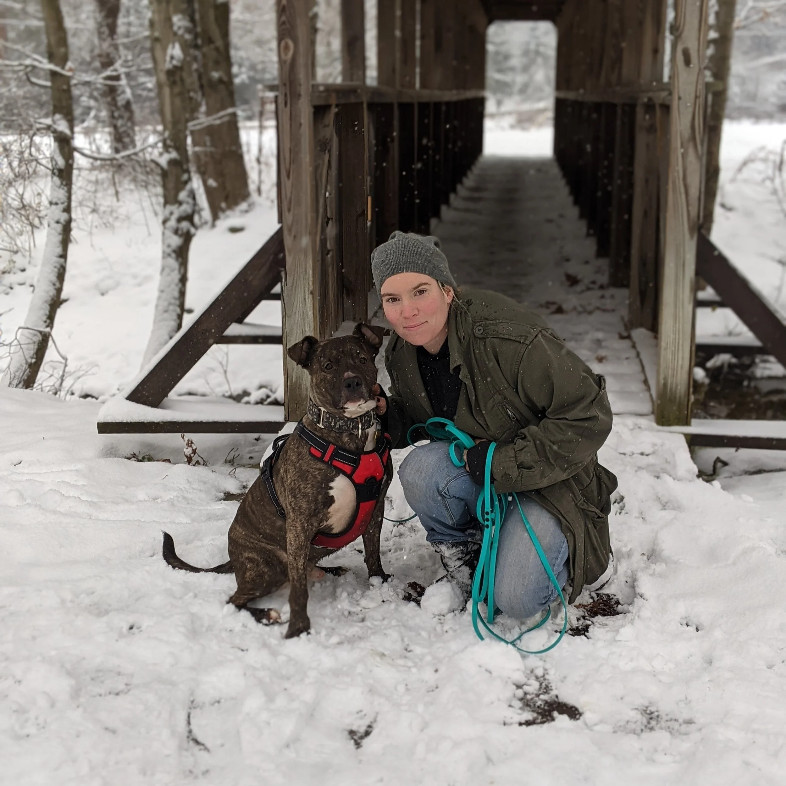 Our Team — SUPERNOVA DOGS