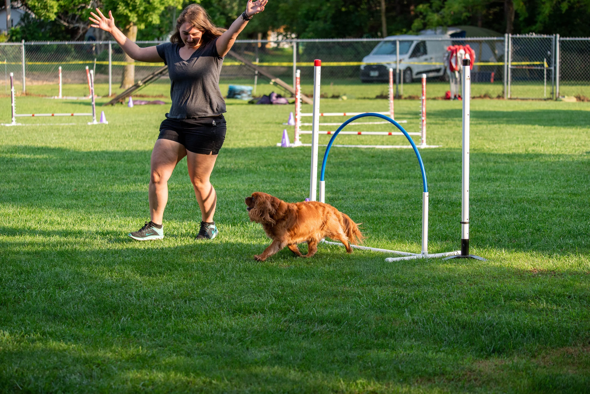 Meet Our Students — SUPERNOVA DOGS