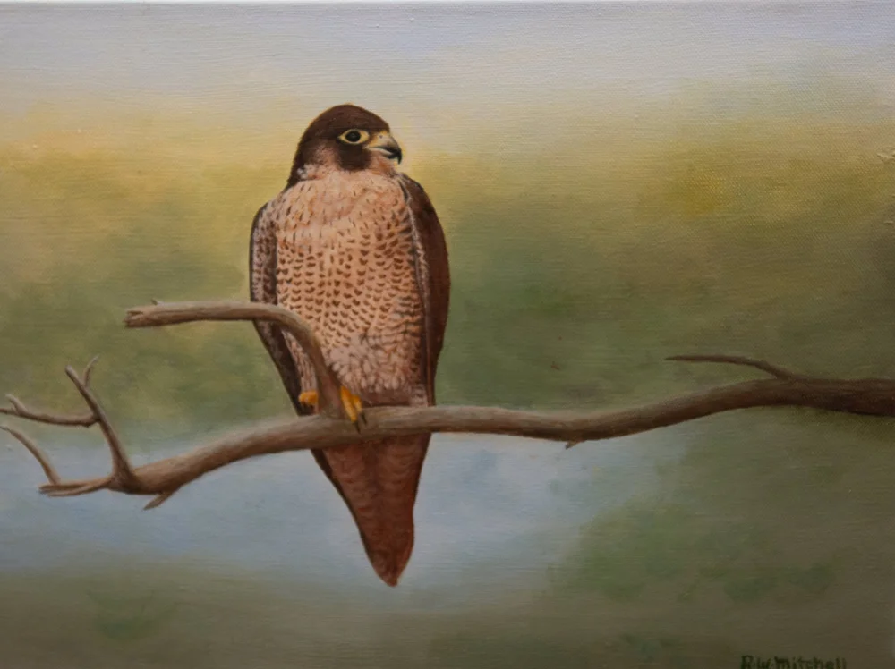 Local Art Events — Creative Art Society