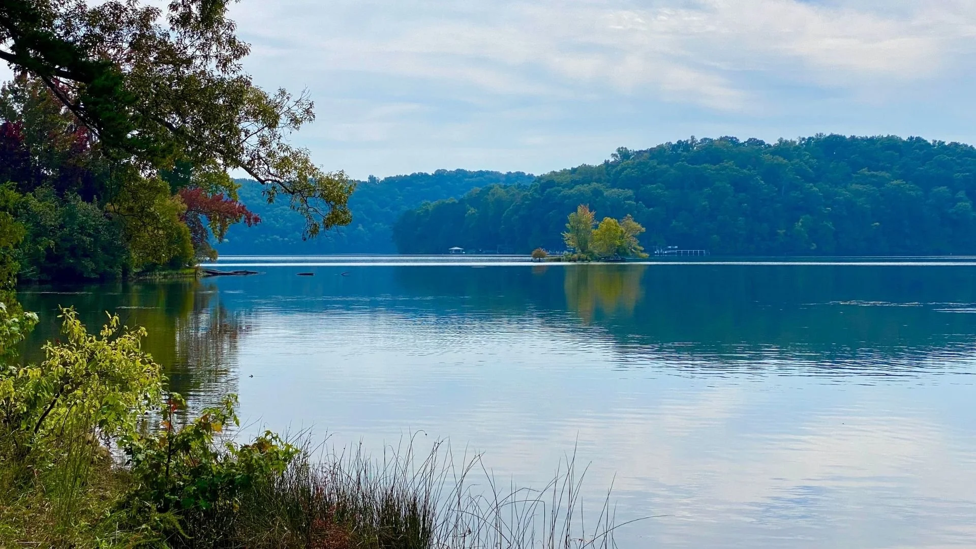 Community Interviews — For Soddy Daisy