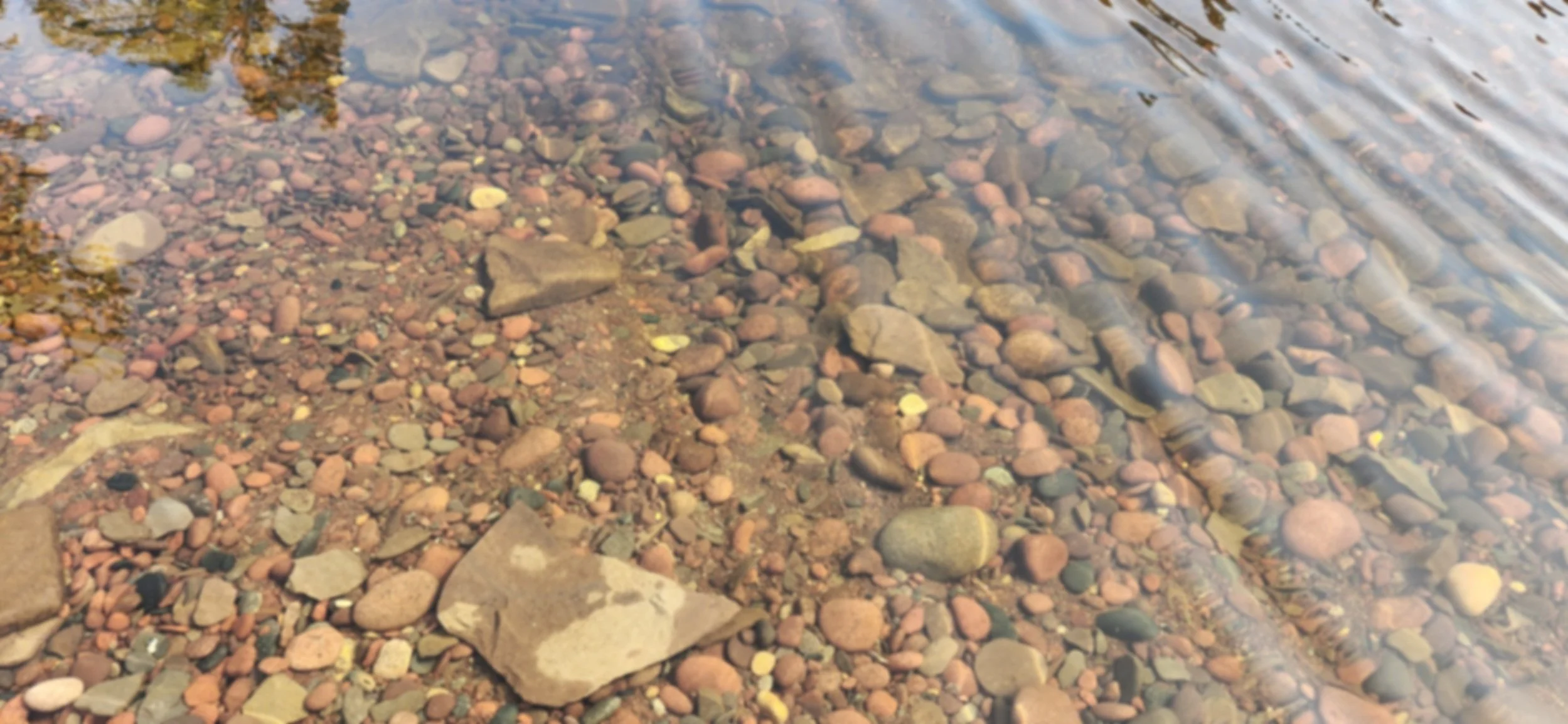 Michigan Rockhounds — Your Guide To Rockhounding The Great Lakes