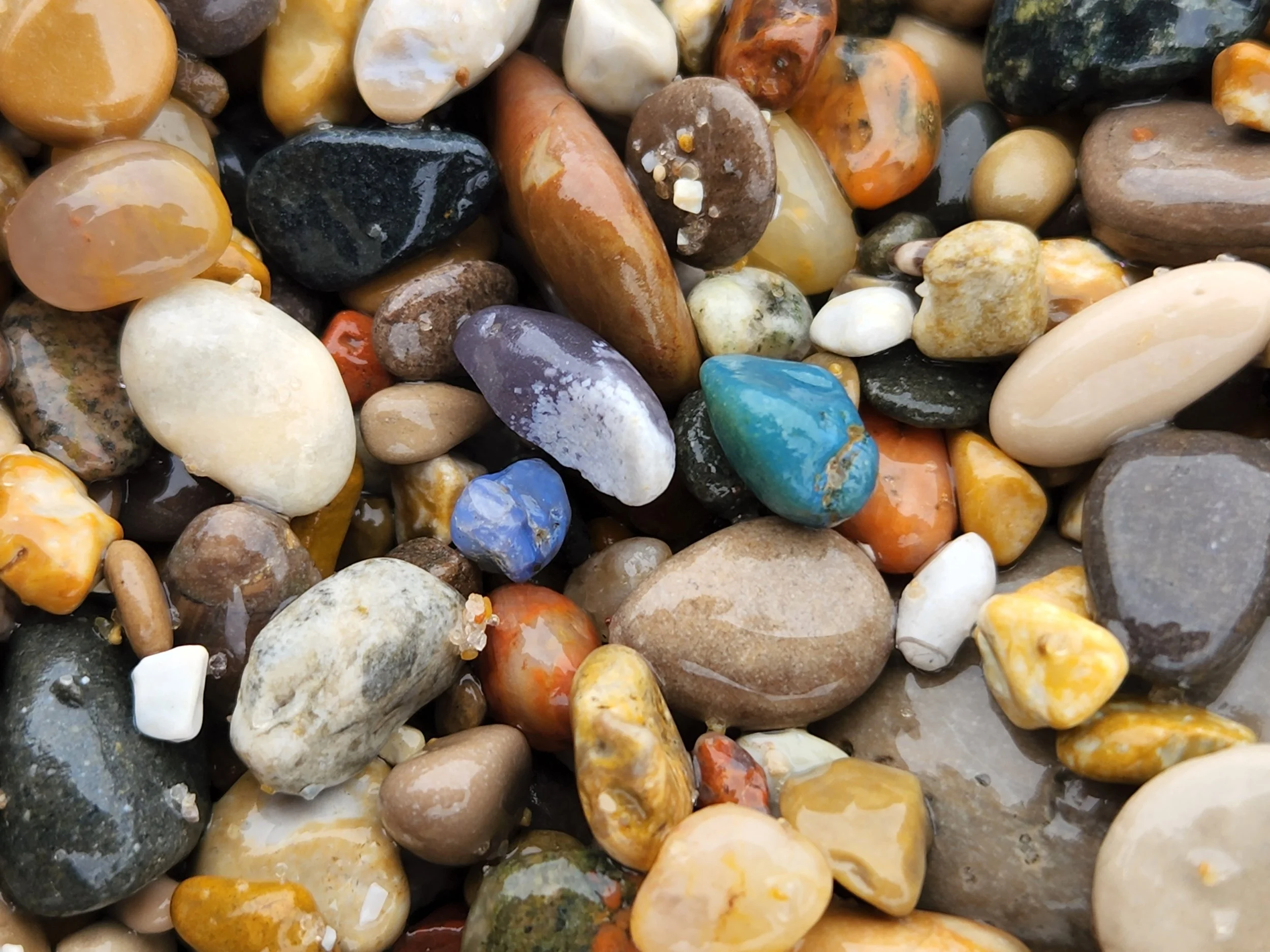 THERE’S A NEWLY RECOGNIZED TREASURE WAITING TO BE FOUND AND IT’S A ...