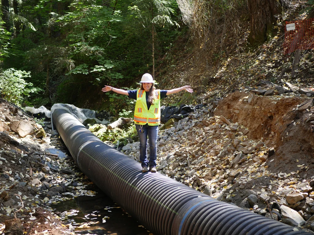 About — Tully Consulting Group