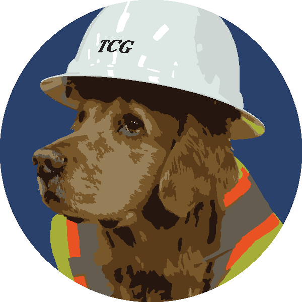 Tully Consulting Group