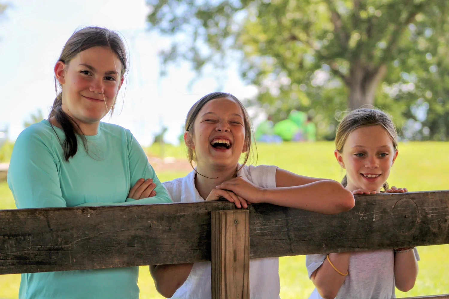 Field Trips — Dream Field Farms